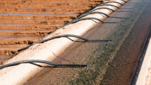 検閲回避に特化したPsiphon Proとは？ 中国から利用できる？